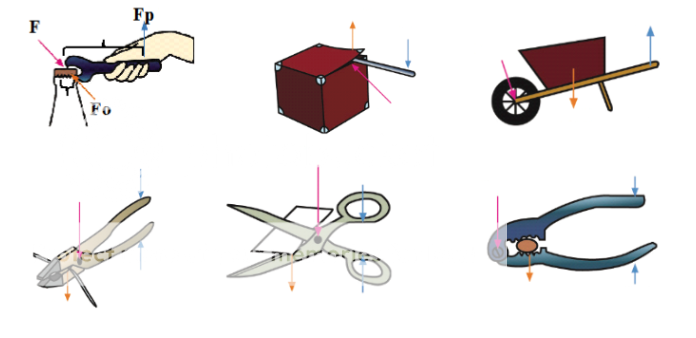 Solved In the following pictures: label the fulcrum F, label | Chegg.com